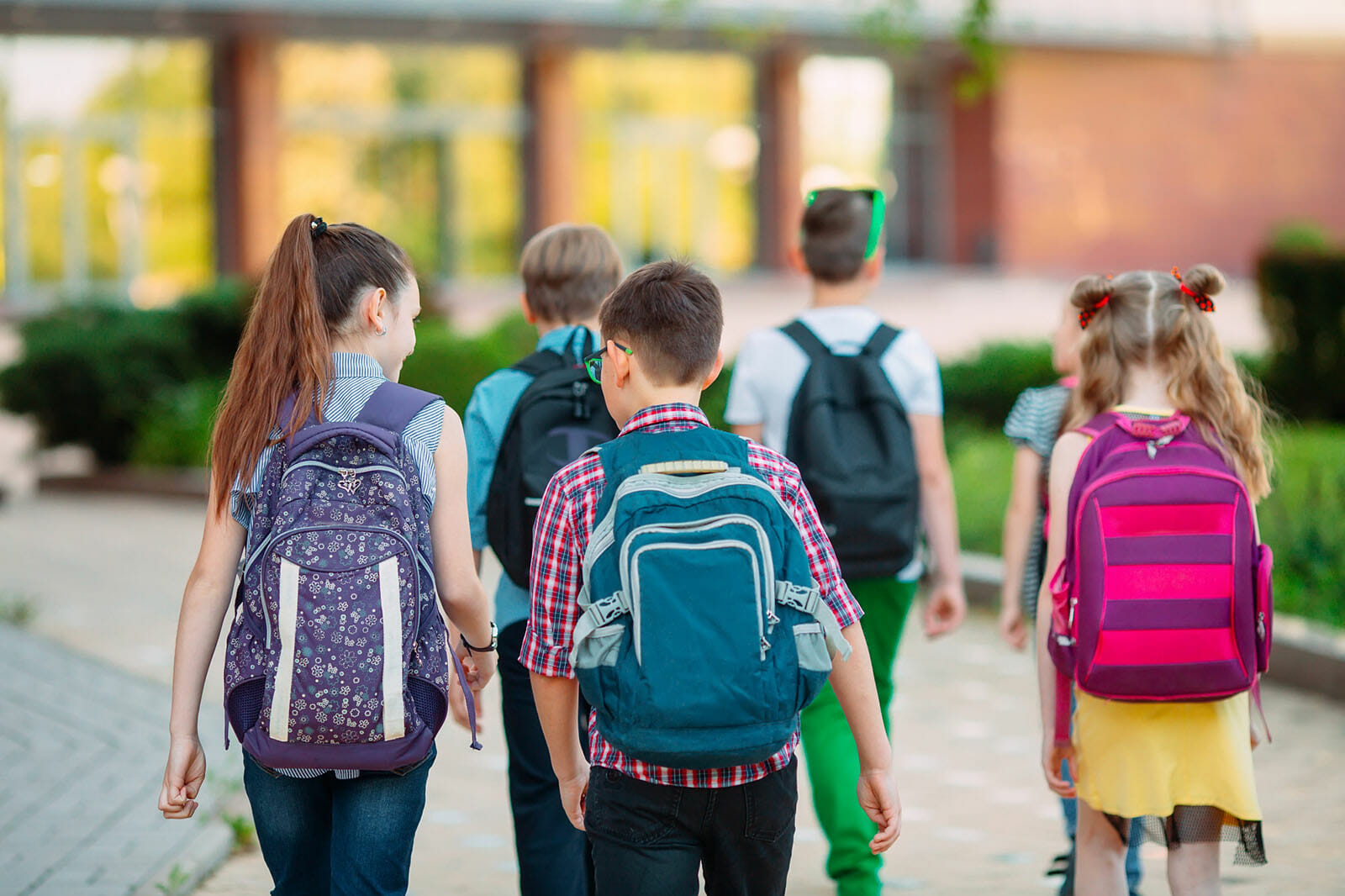 Working with Schools | The Elm Foundation